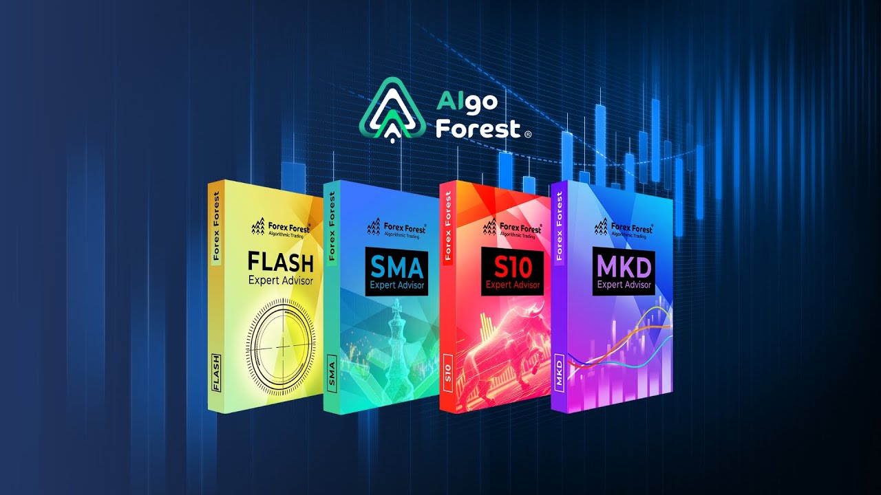 Introducing Algo Forest's 4 Flagship Automated Trading Programmes - YouTube