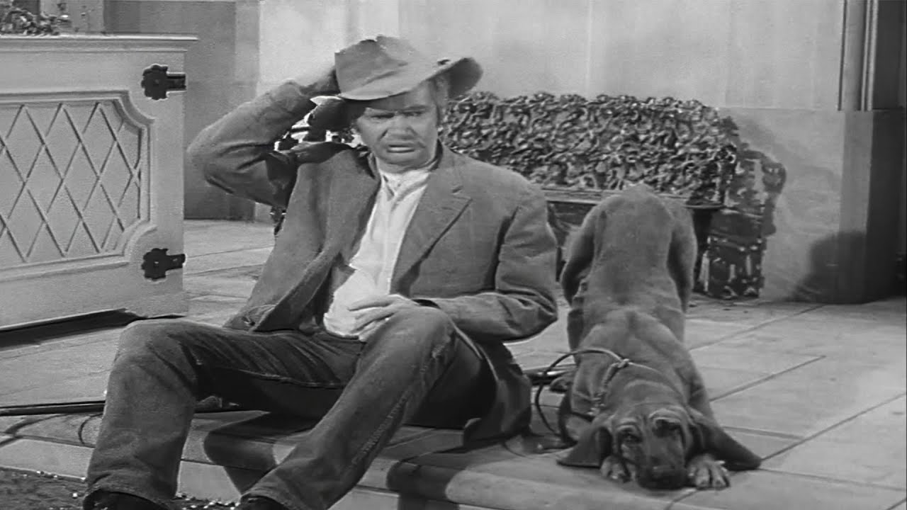 The Beverly Hillbillies S01 E22 Duke Steals a Wife - YouTube