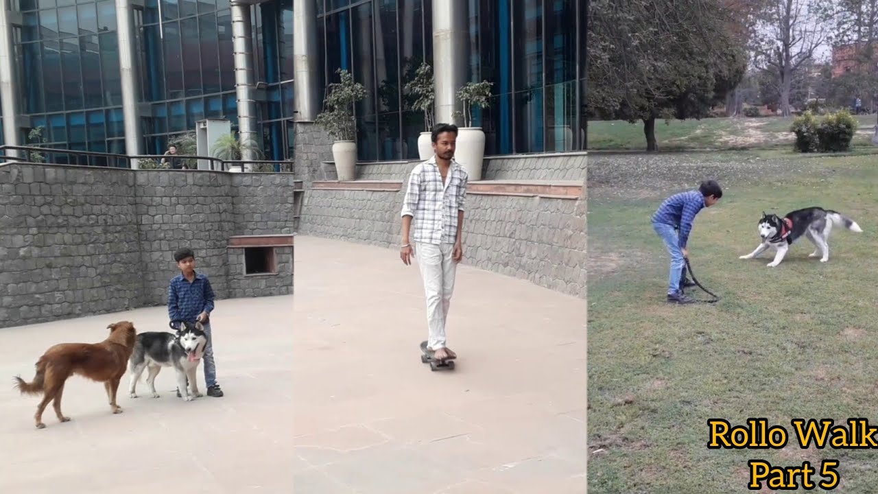 Wwe Rollo Walk [Vlog] Part 5 (2023) - YouTube