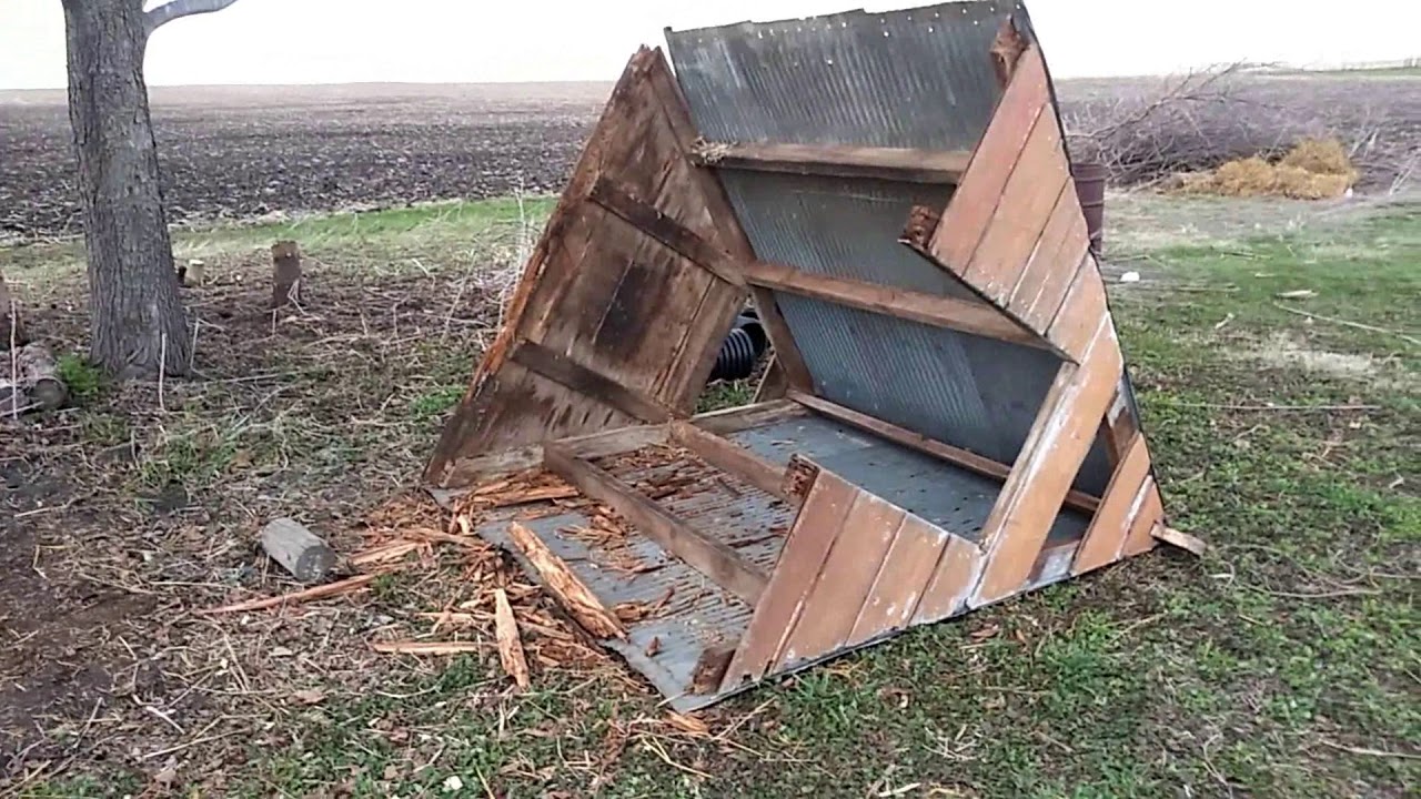 Building A Duck Run - Day 5 - YouTube