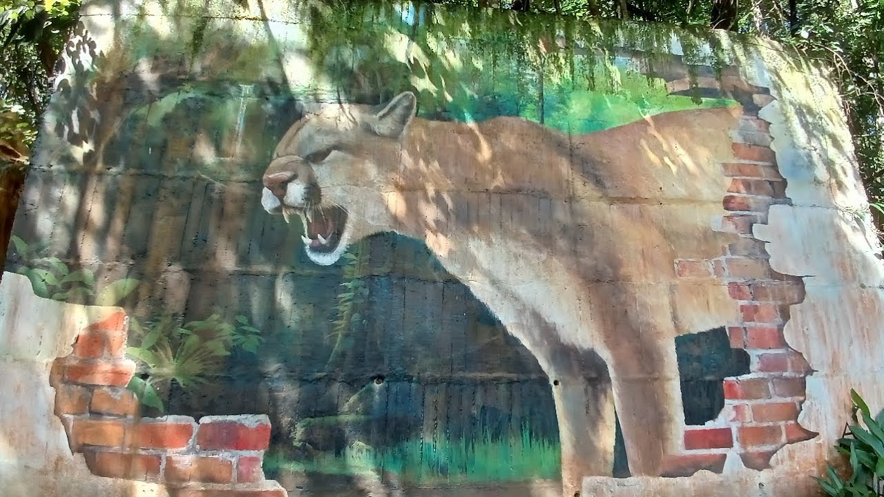 Audios de las descripciones de los lugares. English I - YouTube