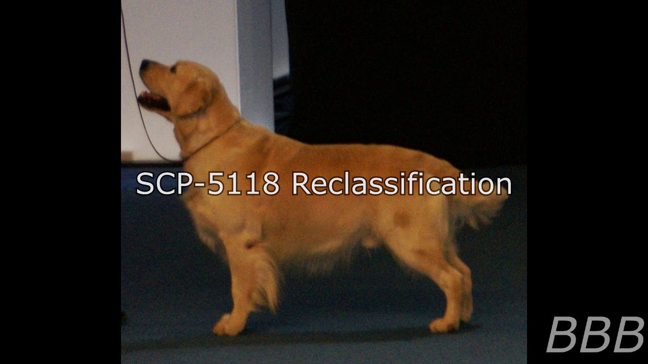 SCP 5118 Forever a Good Boy| Reality Bending SCP - YouTube