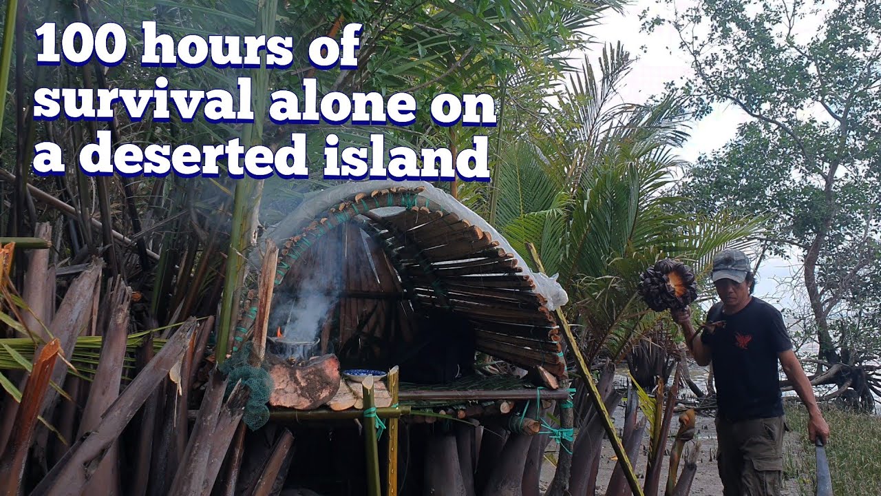 100 hours of survival alone on a deserted island - YouTube