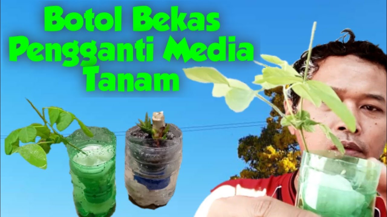 Bekas Botol Mineral Di Sulap Jadi Media Tanam - YouTube