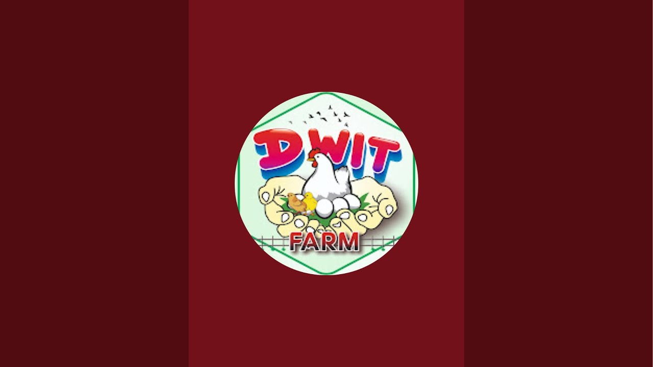 dwit farm is live - YouTube