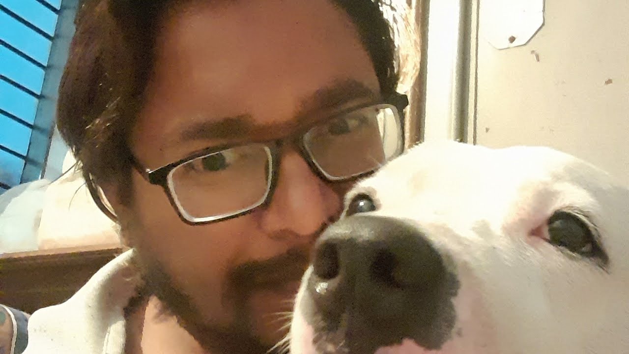 Puppies Are Forever. Not For Entertainment. By PALASH PATEL. From ...