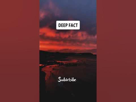 One deep talk and apology can fix a lot of problems but....#shorts - YouTube