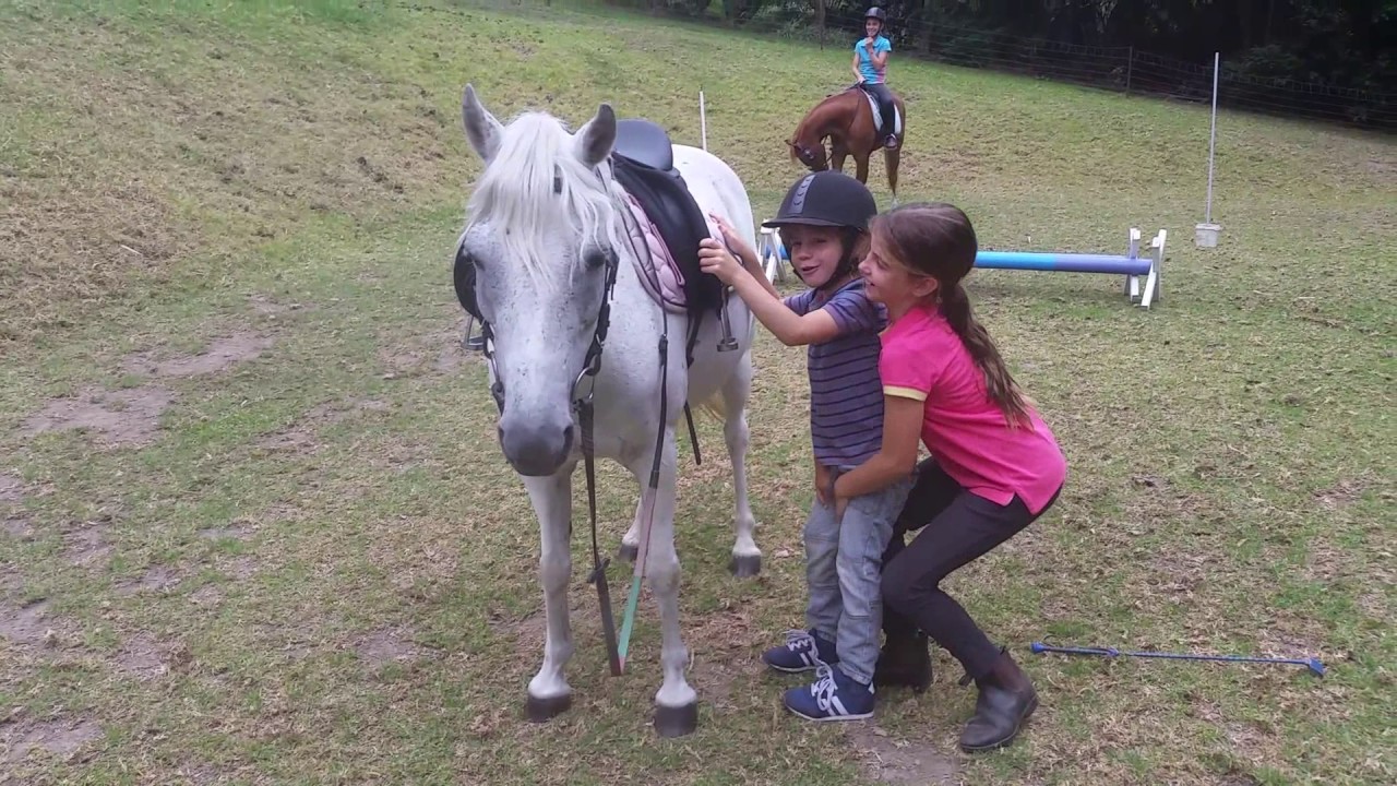 Sparkles - 12hh Pony - YouTube