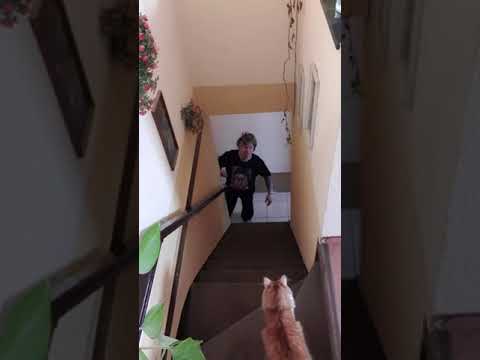 Nackedei kanal #shorts #viral #funny #funnyvideo #funnyvideos #spass #comedy #fun #spaß