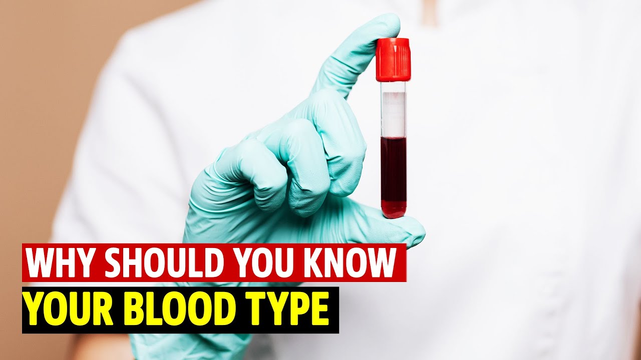 Why Should You Know Your Blood Type YouTube Why Should You Know Your Blood Type YouTube