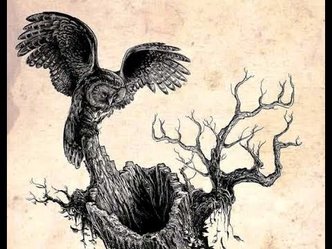 Owl on a tree (procreate inking with iPad Pro) - YouTube