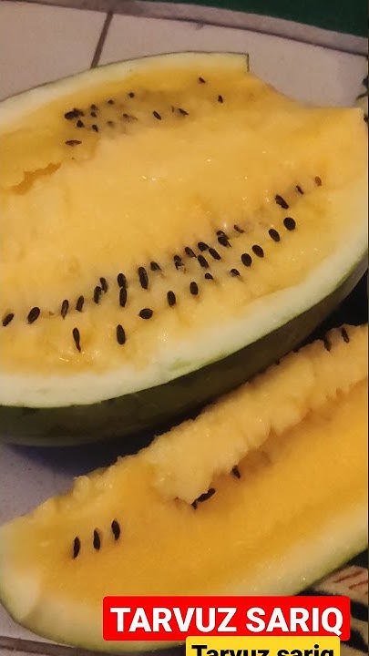 SARIQ TARVUZ - YouTube
