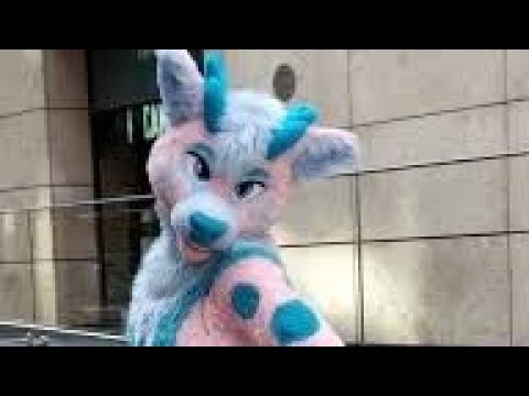 Should you become a christian furry? - YouTube