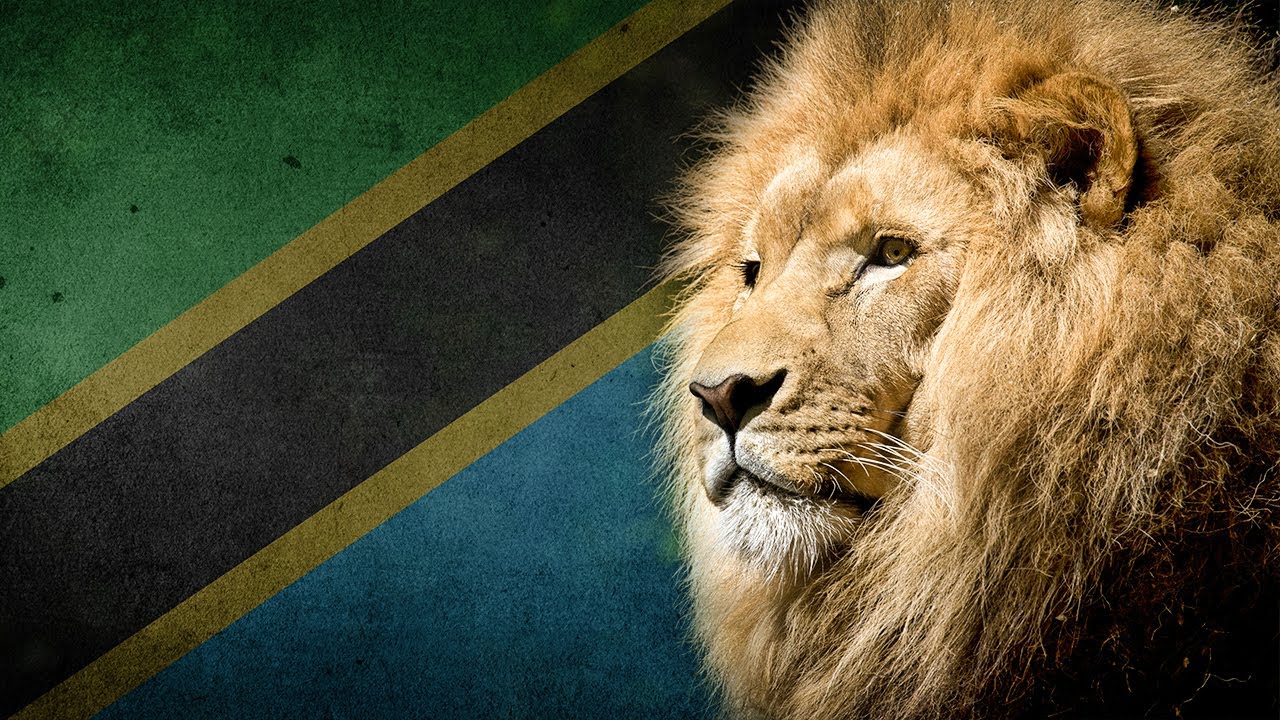 Volunteer in Tanzania | The Great Projects - YouTube