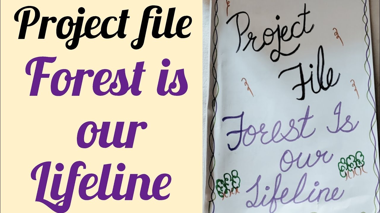 science project file/forest is our lifeline project file ...