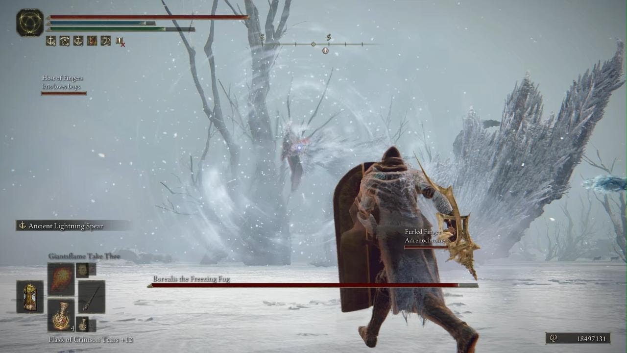 Borealis the Freezing Fog Co-Op - ELDEN RING - YouTube