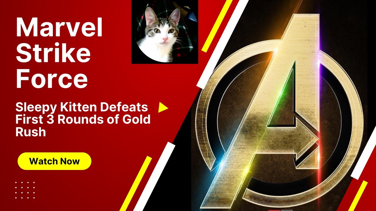 Sleepy Kitten Defeats First 3 Rounds of Marvel Strike Force Gold Rush ...