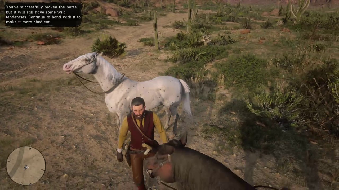 Rdr2 Appaloosa Spawn Location at Aiden Ligar blog