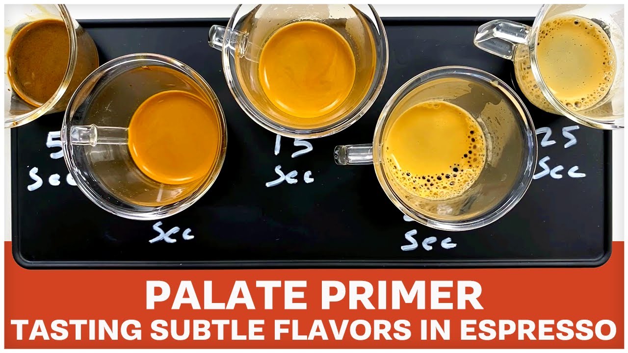 Coffee Seminar - Palate Primer: Tasting Subtle Flavors In Espresso ...