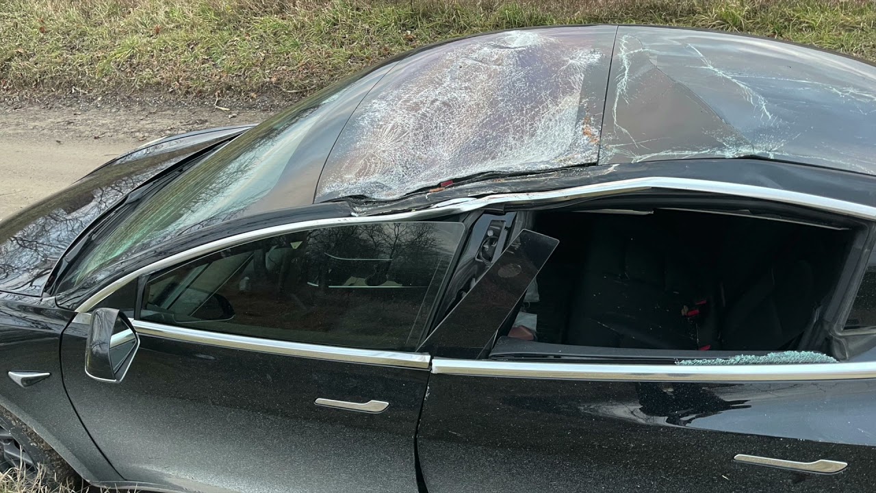 Tree hitting Tesla in wind storm - YouTube