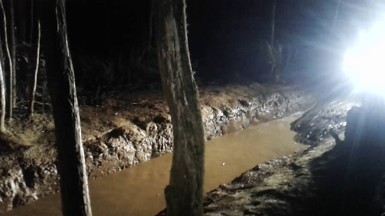 firth park,wombat state forest! - YouTube