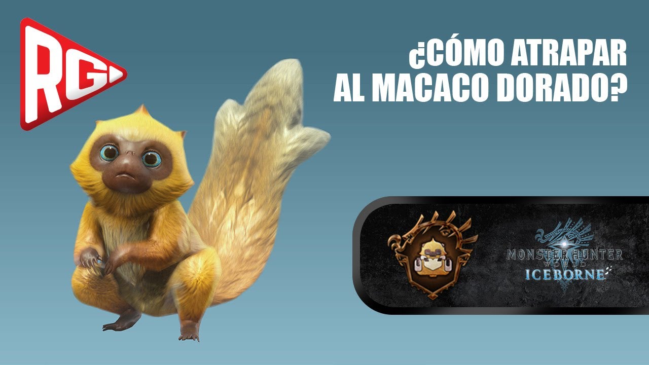 Cómo atrapar al Macaco Dorado en Monster Hunter World Iceborne - YouTube