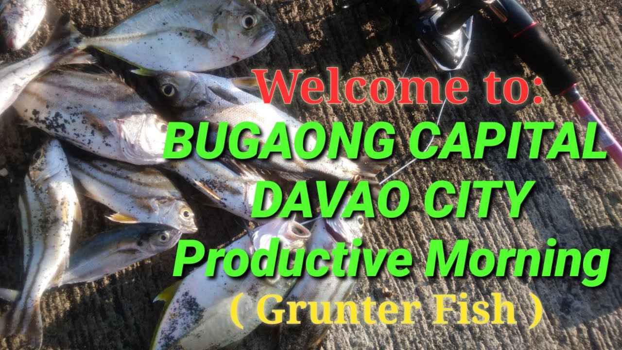 MICRO JIG LANG SAKALAM | GRUNTER FISH STRIKES | BUGAONG CAPITAL | DAVAO ...