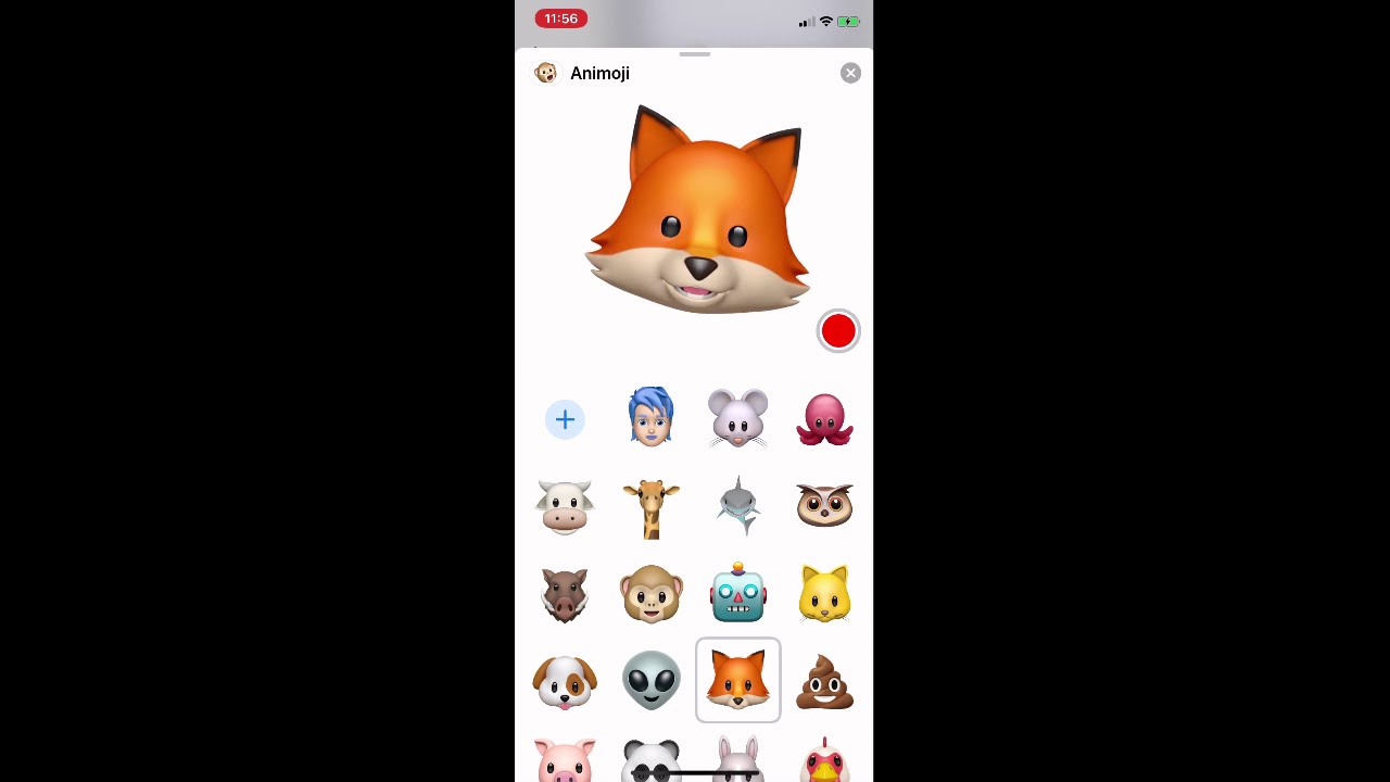 Singing Red Fox - YouTube