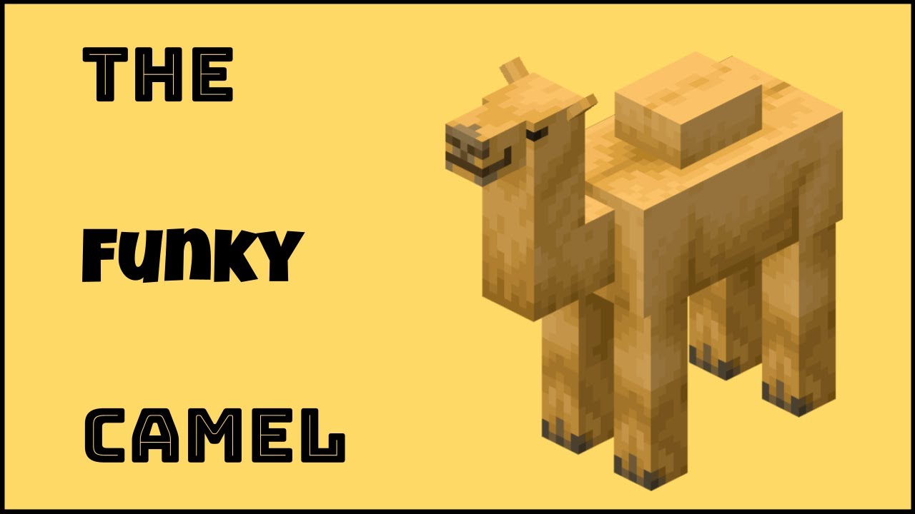 The Funky Camel - YouTube