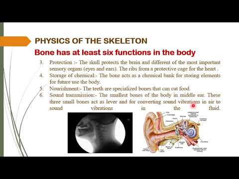 Physics of skeleton P1 - YouTube