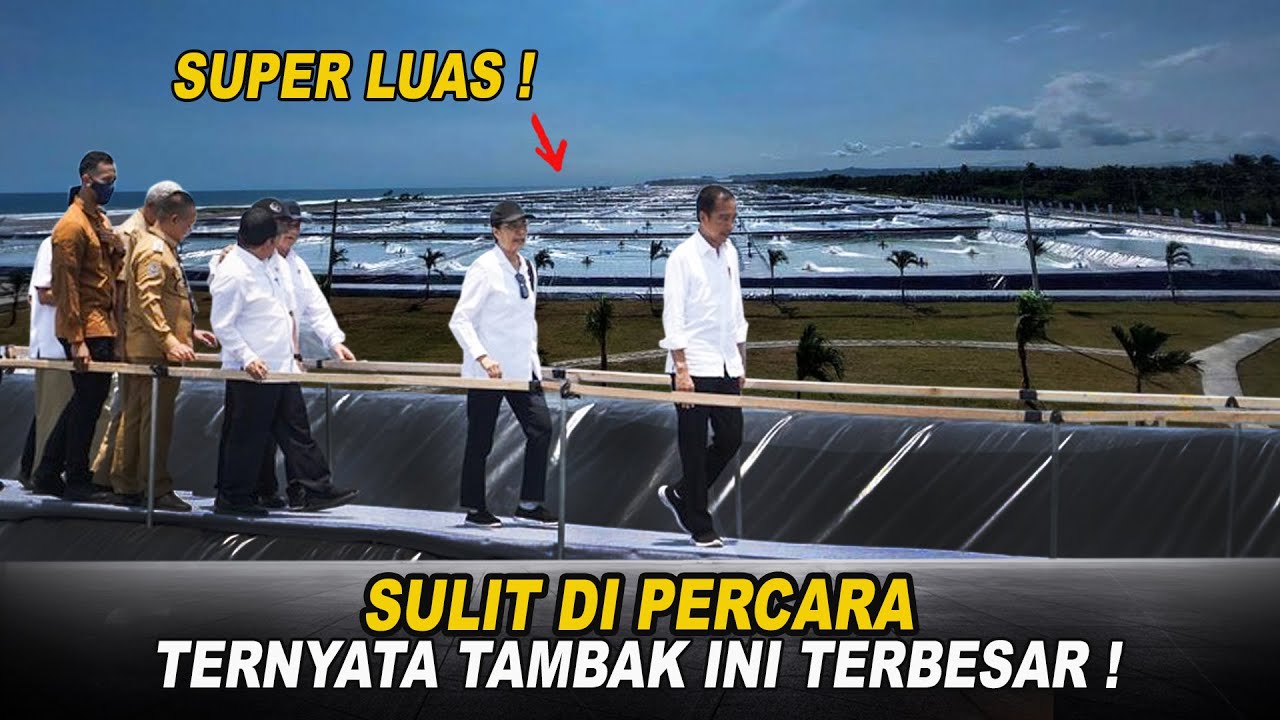 TAK HABIS PIKIR TAMBAK UDANG "RAKSASA" RI MUNCUL DI ERA JOKOWI🔥😱 ...