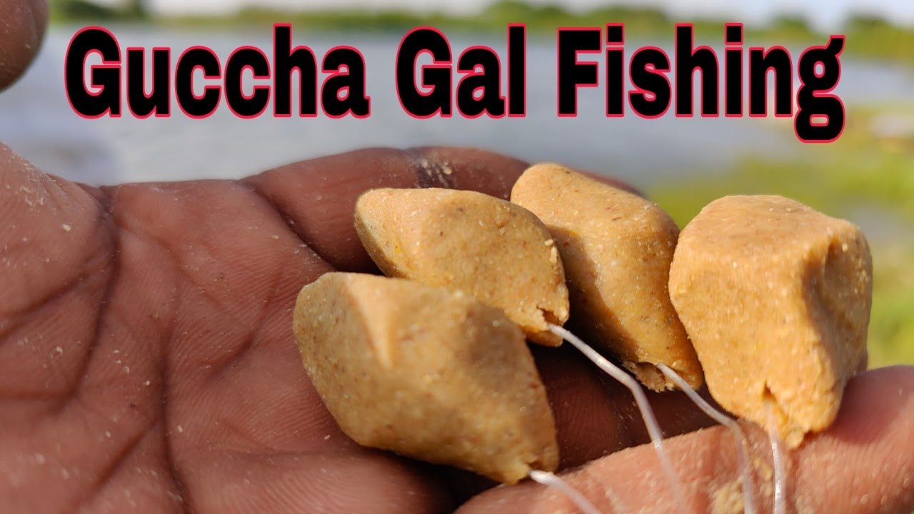 Village Fishing Video | Guccha Gal Fishing | Fishing Videos | Rohu ...