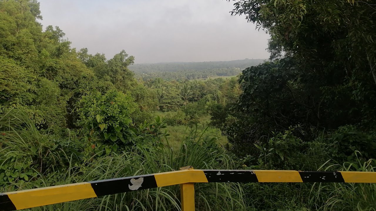 പ്രകൃതി രമണീയമായ പെരുമ്പിലാവ് | Perumpilavu - YouTube