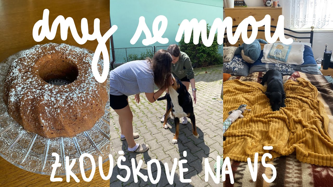 dny se mnou ve zkouškovém období na VŠ - YouTube