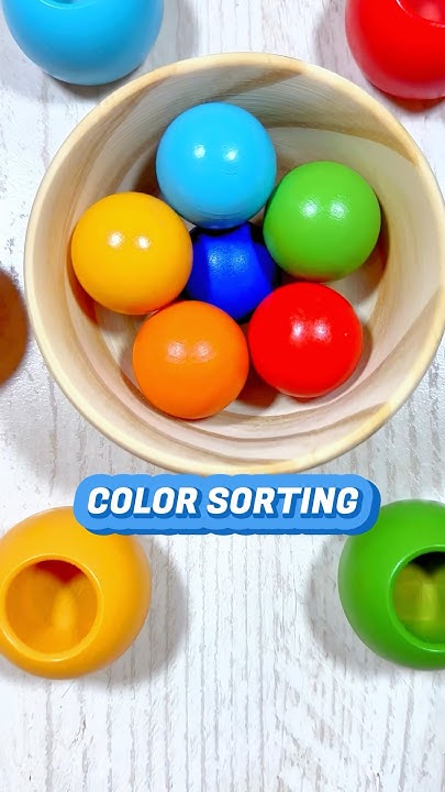 Color Sorting for Toddlers | Educational Activities for Toddlers # ...
