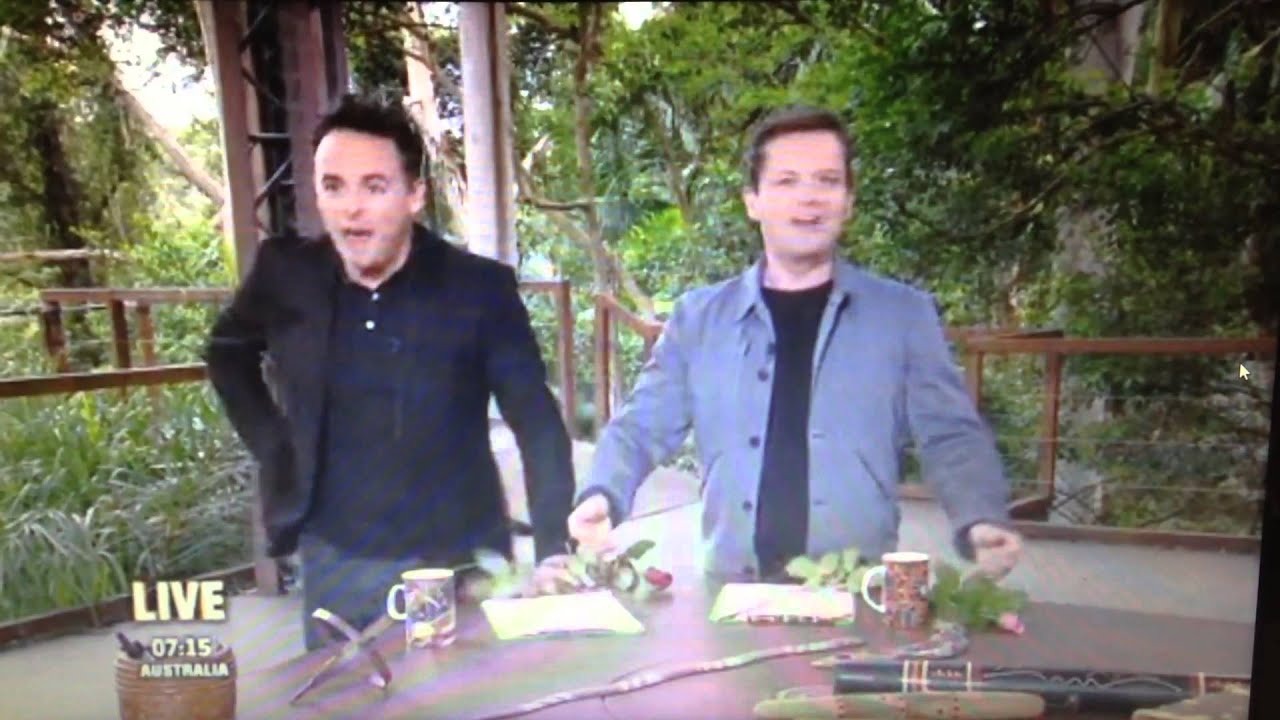 Dec mentions to Ant about Tony Hadley being on Celebrity MasterChef ...