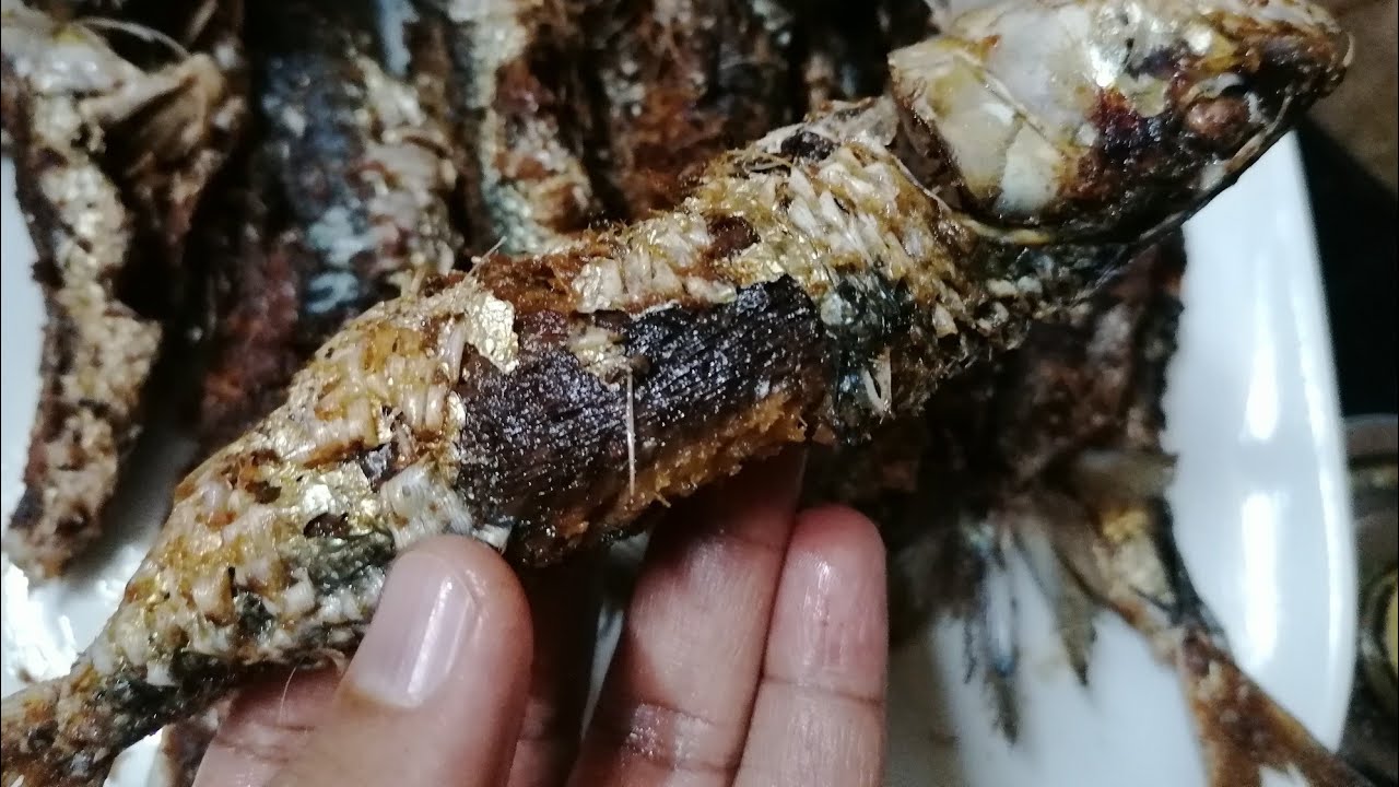 Fried fish | Pritong isdang tamban - YouTube
