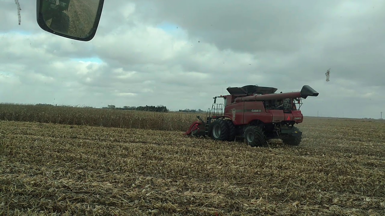 Farm Life: Iowa Harvest- Harvesting Combining Corn 2018 - YouTube