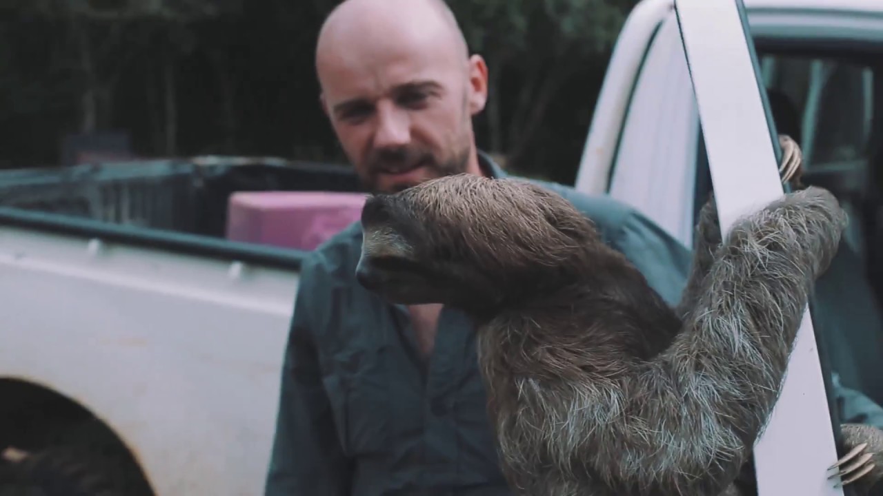 Sloth Rescue! - YouTube