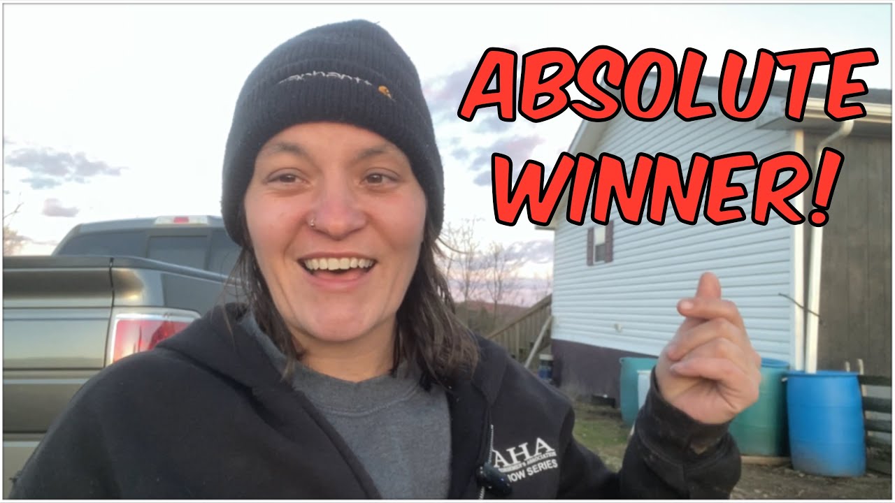 I Won BIG at the Auction (insert sarcasm here) - YouTube
