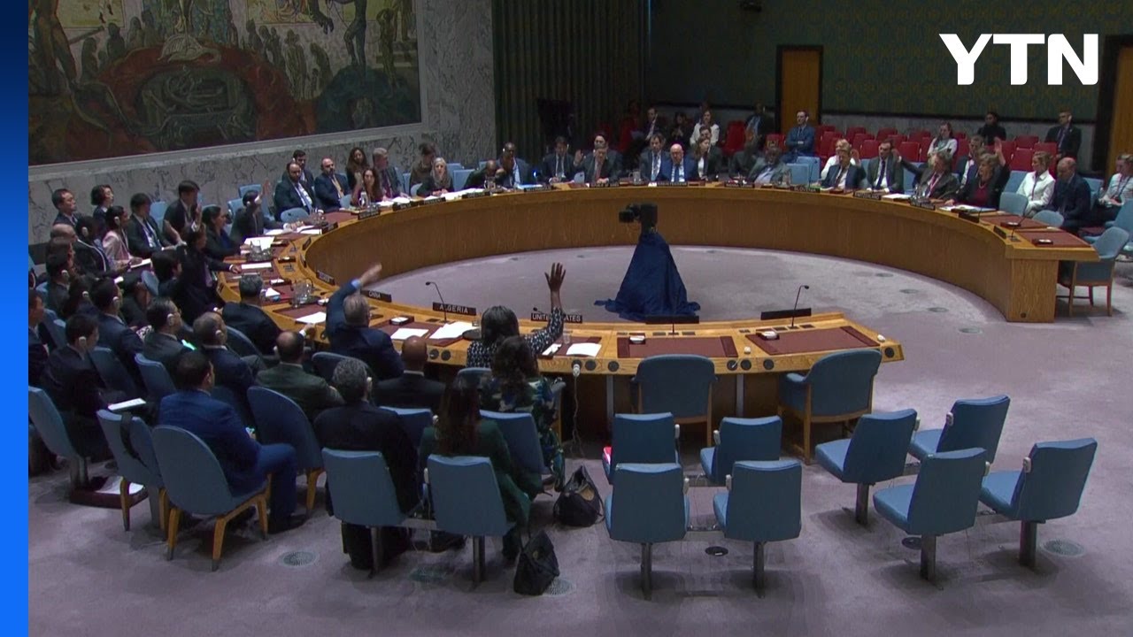 "UN 안보리 개혁" 선언은 했지만...'거부권' 극복할까 / YTN - YouTube