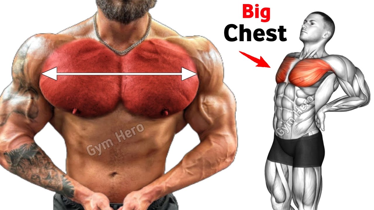6 Best Chest Workout At Gym - YouTube