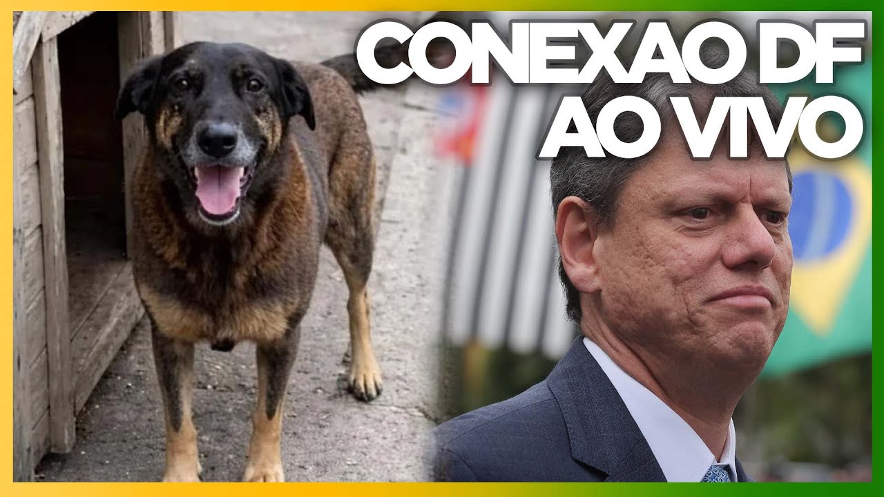 CACHORRO ORELHA E TARCISIO APOIA FLAVIO BOLSONARO PARA A DISPUTA ...