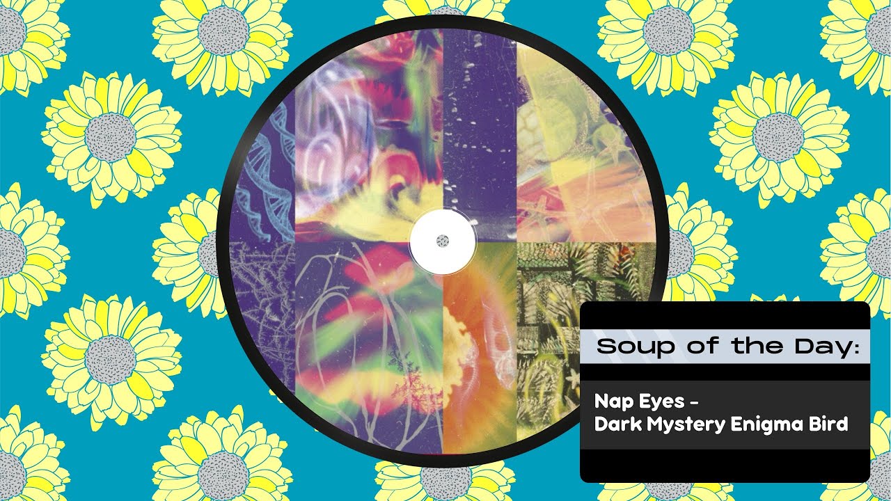 Nap Eyes - Dark Mystery Enigma Bird - YouTube