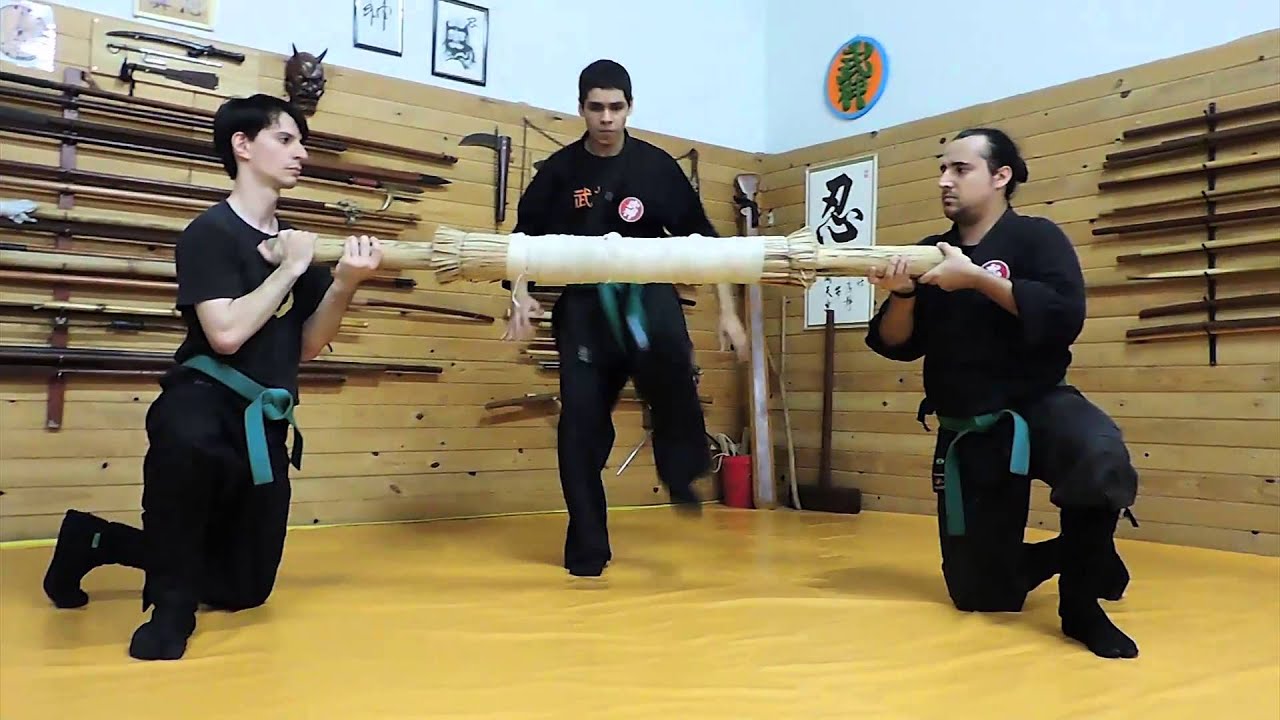 Ninjutsu Bujinkan - Taihen Jutsu Koto e Gyokko Ryu - YouTube
