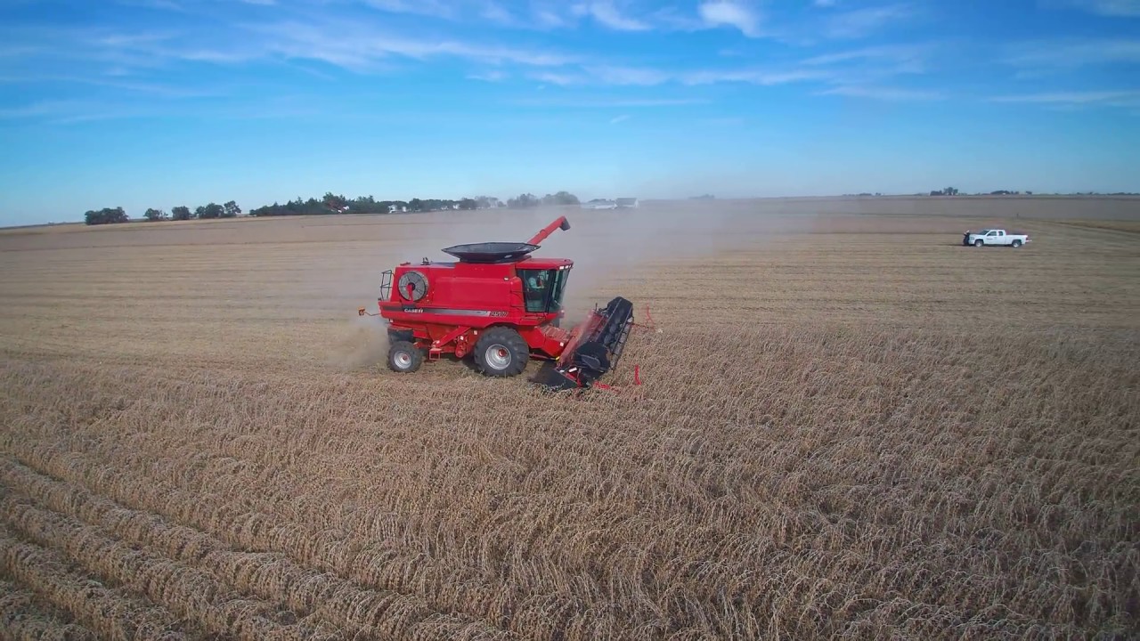 2016 Harvest. Case IH 2577. - YouTube