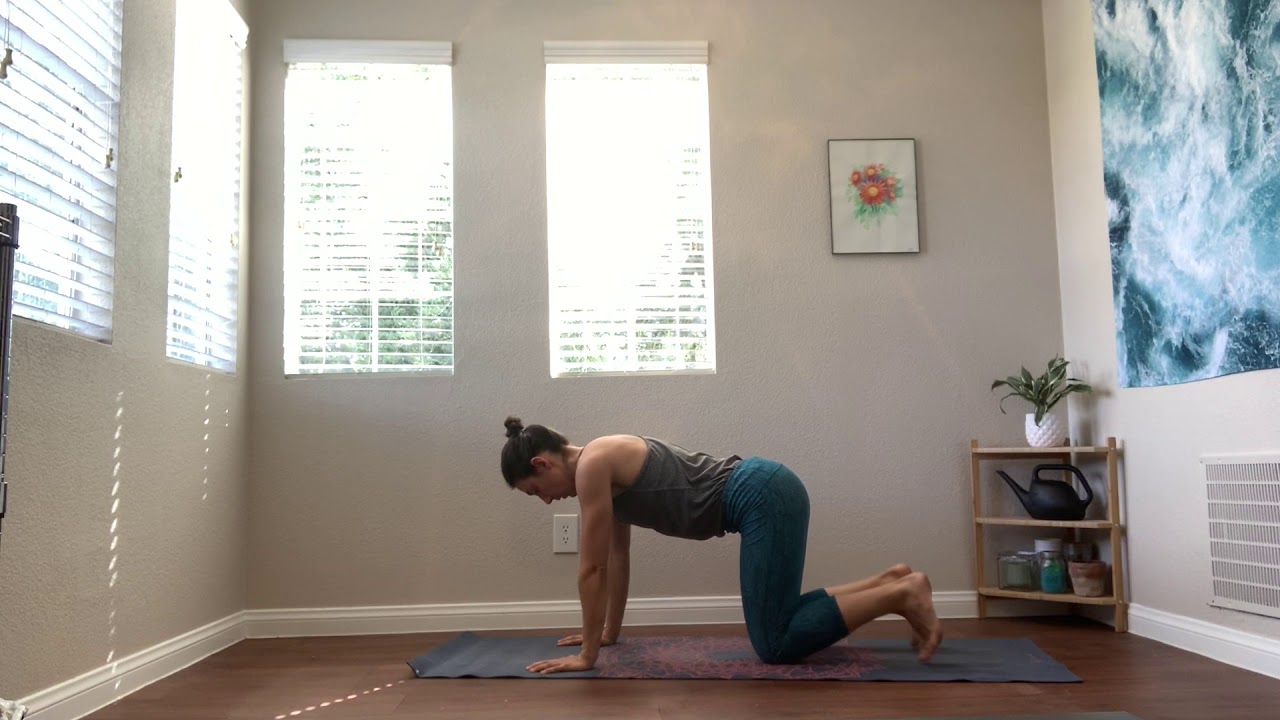 Scap Push Up Progression - YouTube