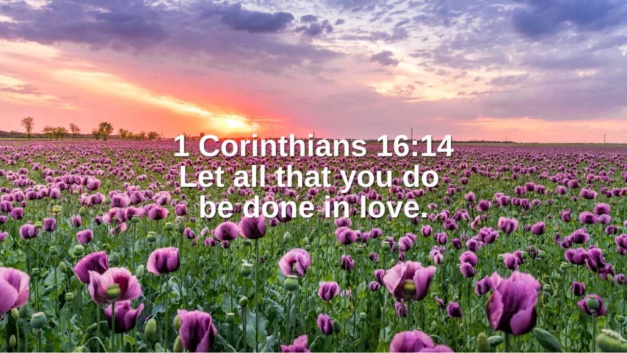 1 Corinthians 16:14 (Command) - YouTube