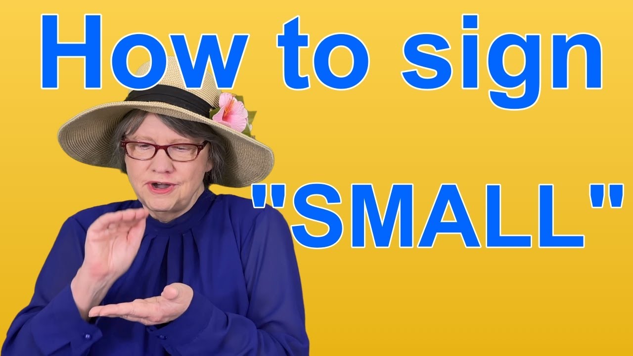 How To Sign SMALL — ASL Word Of The Day — Word 164 - YouTube