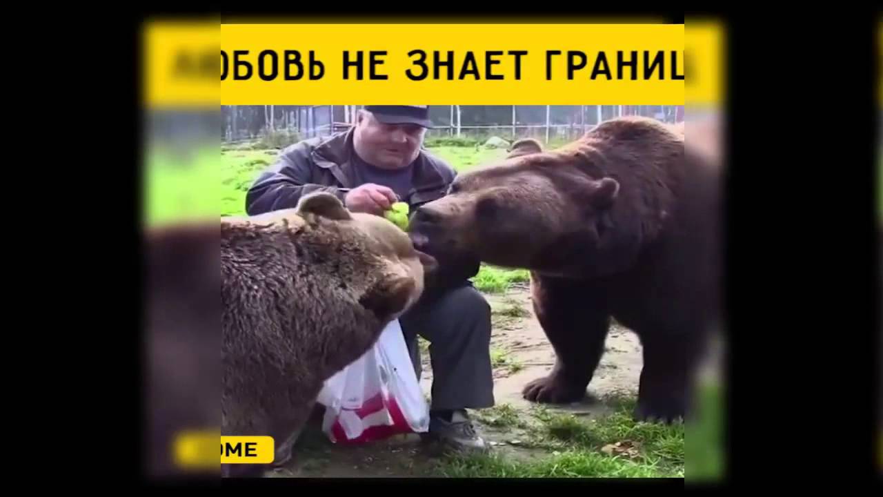 people living with wild animals - YouTube